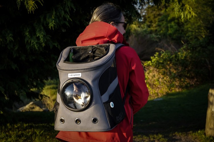 12 Cat Backpacks Reviews – Theoretically Teddy