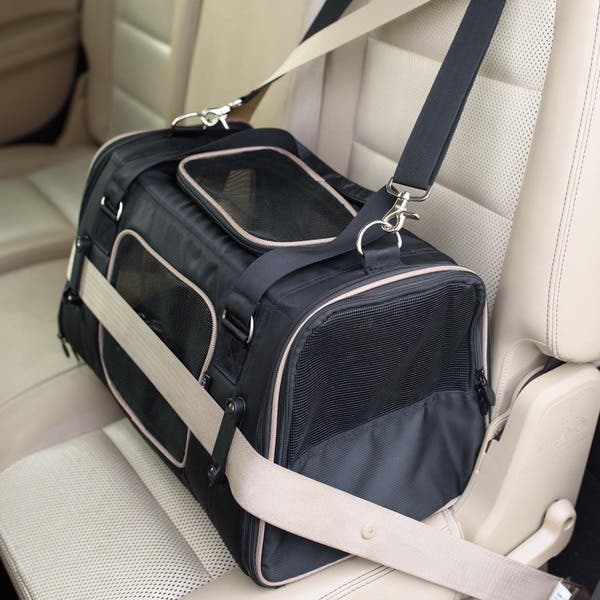 The Ultimate Guide to Car Travel With a Cat – Theoretically Teddy