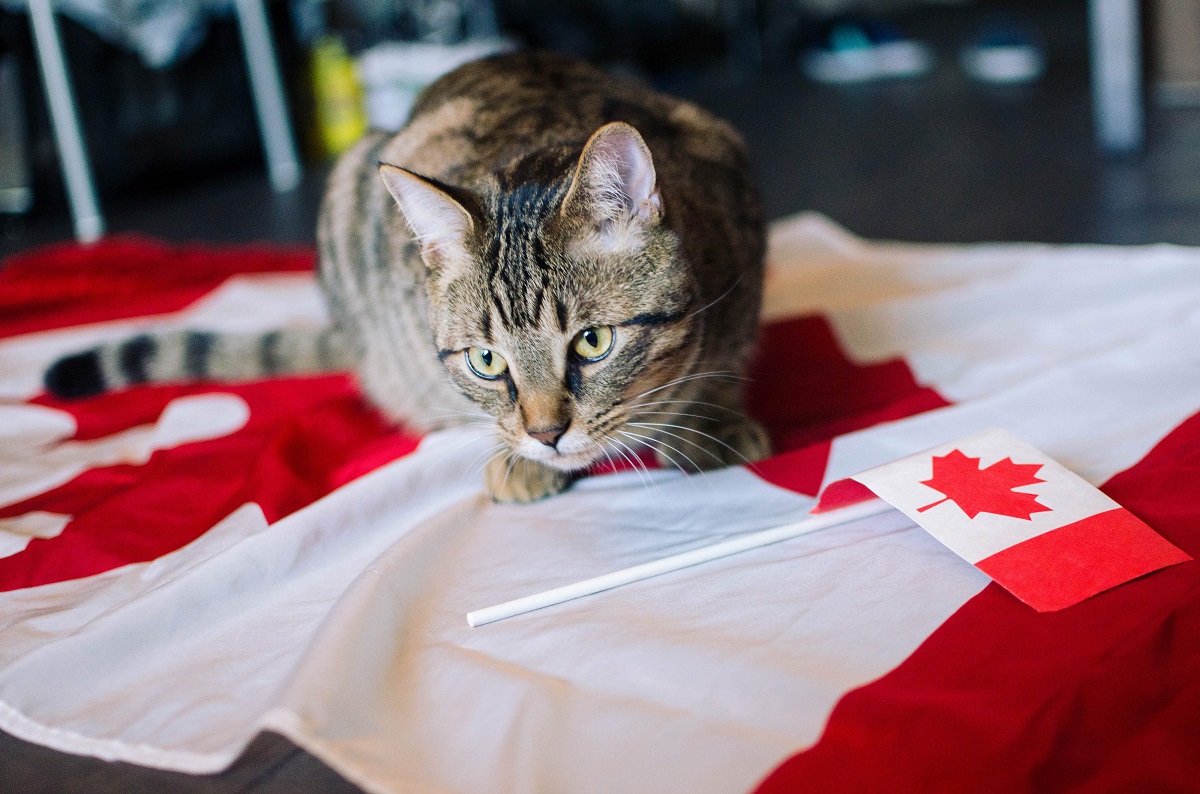 Instagram Influencer Guide – Theoretically Teddy