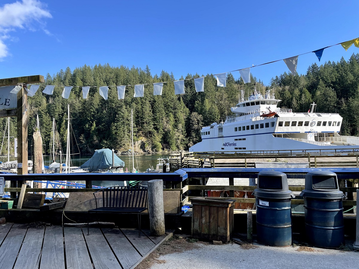 How to Take a Cat on the BC Ferries – Theoretically Teddy