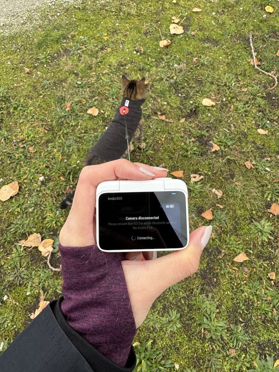 Insta360 GO 3 Action Camera Review – Pet POV Camera – Theoretically Teddy